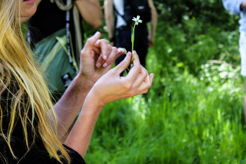 Mandy Lieu - Mandy Lieu